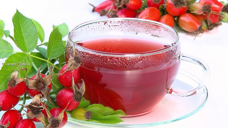 ᐅ Wissenswertes über Früchtetee - Geschichte, Sorten und Gesundheitswert