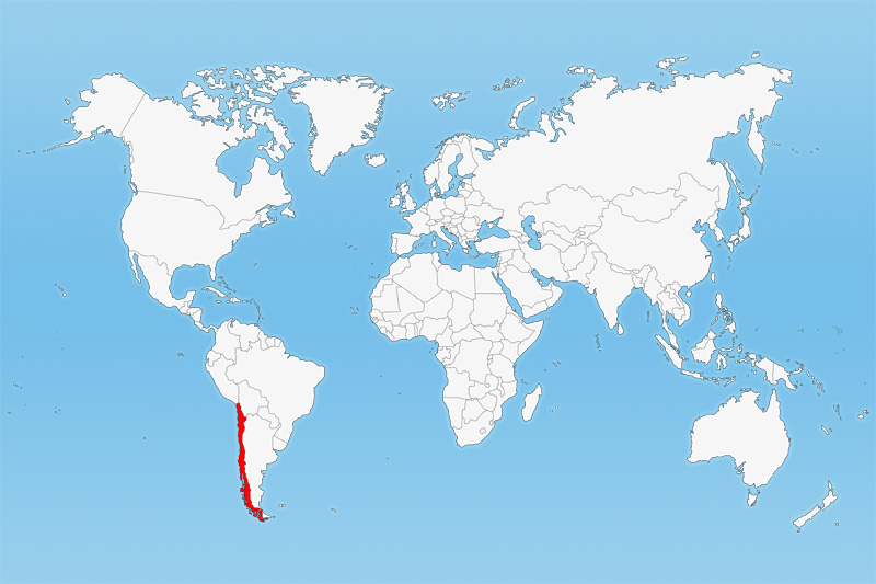 Chile Lage Sehensw rdigkeiten Und Spezialit ten Chile Lage Sehensw rdigkeiten Und Spezialit ten