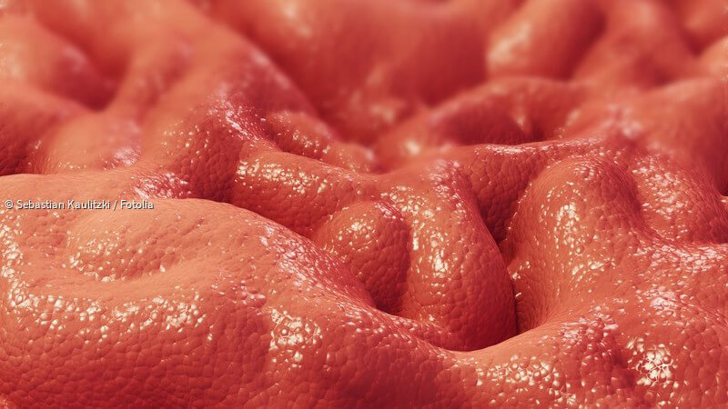 ᐅ Das hereditäre Angioödem - Ursachen, Symptome und Behandlung