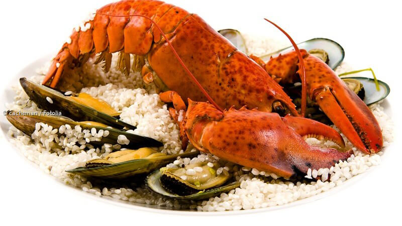 ᐅ Richtig Hummer essen: Tipps und Benimm-Regeln