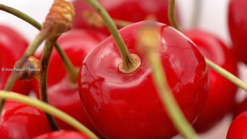 ᐅ Unterschiedliche Kirsch-Arten - von Herzkirsche bis Schattenmorelle