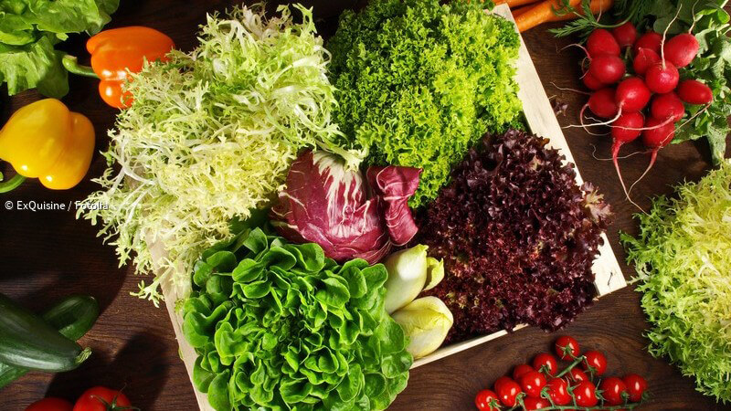 ᐅ Salatsorten auf einen Blick - Die Vielfalt von Salat und Salatgemüse