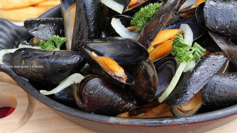 ᐅ Muschelvergiftung - Vergiftung durch den Verzehr von Muscheln