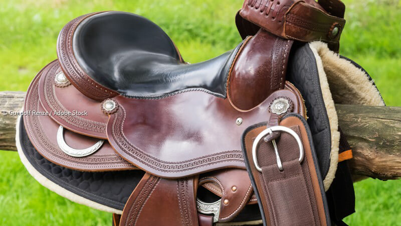 ᐅ Reitsättel und Satteldecken - Merkmale, Arten und Anforderungen