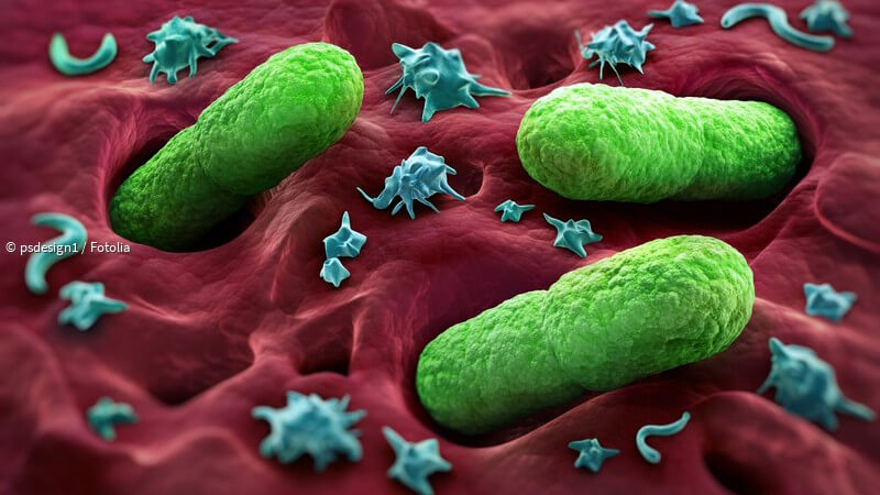 ᐅ Pest - Ursachen, Erscheinungsformen, Symptome und Behandlung