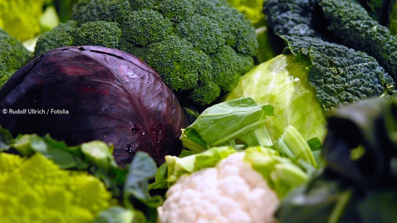 ᐅ Kohlgemüse: Gesundheitswert und Anbau