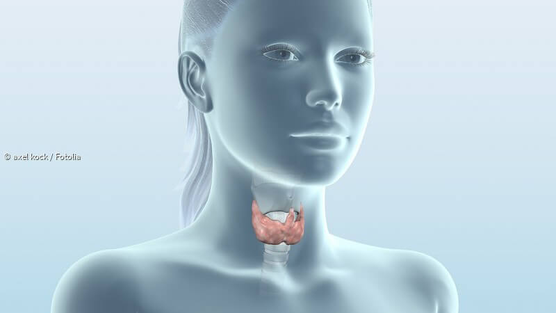 ᐅ Morbus Basedow - Ursachen, Symptome und Behandlung