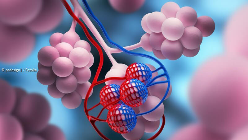 ᐅ Hypoxie - Merkmale, Ursachen und Behandlung des Sauerstoffmangels