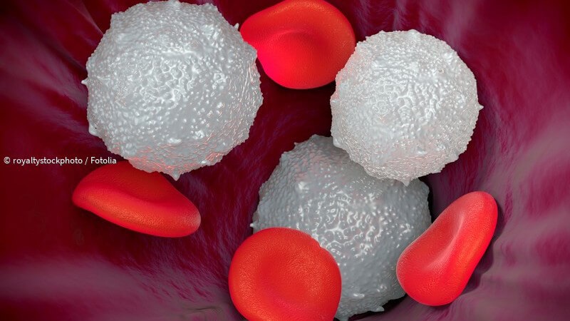 ᐅ Eosinophile Granulozyten - Werte, Funktion und Störungen