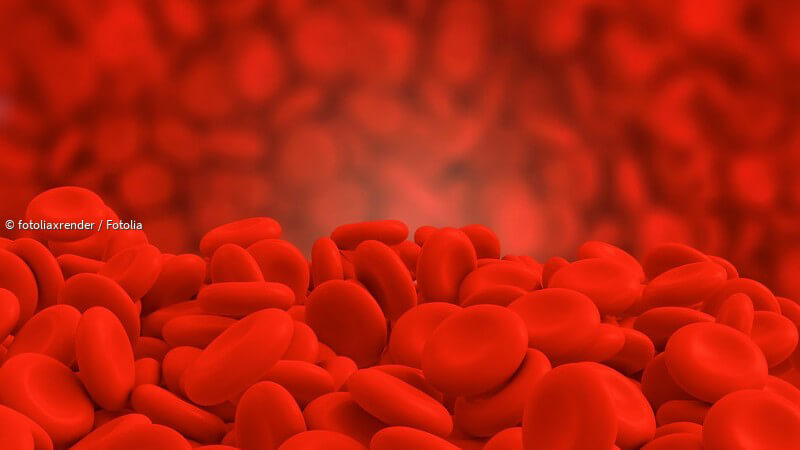 ᐅ Retikulozyten - Werte, Funktion und Störungen