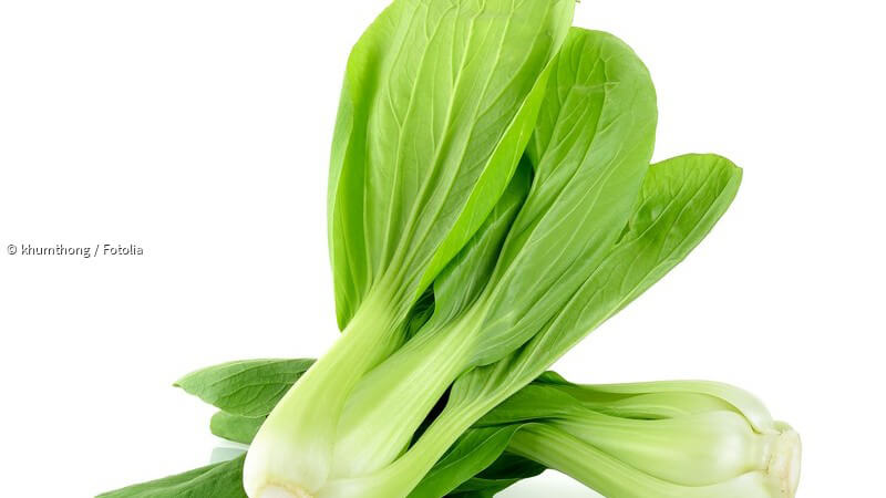 ᐅ Pok Choi (Senfkohl)