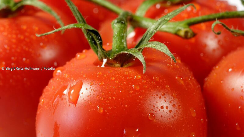 ᐅ Rispentomaten - Anbau, Merkmale und Verwendung