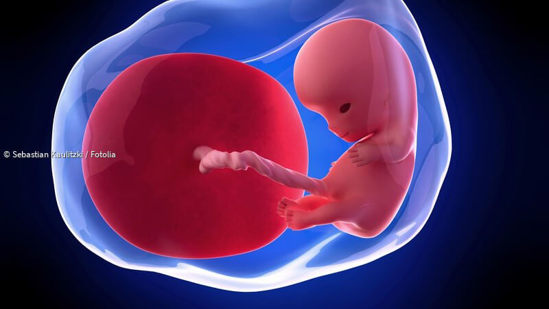 ᐅ 10. SSW - Mutter & Kind in der 10. Schwangerschaftswoche