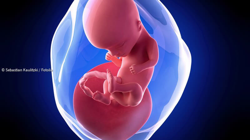 ᐅ 14. SSW - Mutter & Kind in der 14. Schwangerschaftswoche