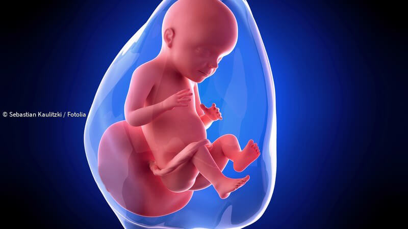 ᐅ 28. SSW - Mutter & Kind in der 28. Schwangerschaftswoche