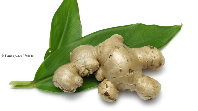 ᐅ Ingwer in der Natur, Heilkunde und Küche als Gewürz