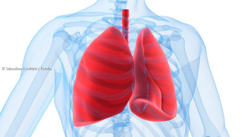 ᐅ Tuberkulose - Ursachen, Symptome und Behandlung