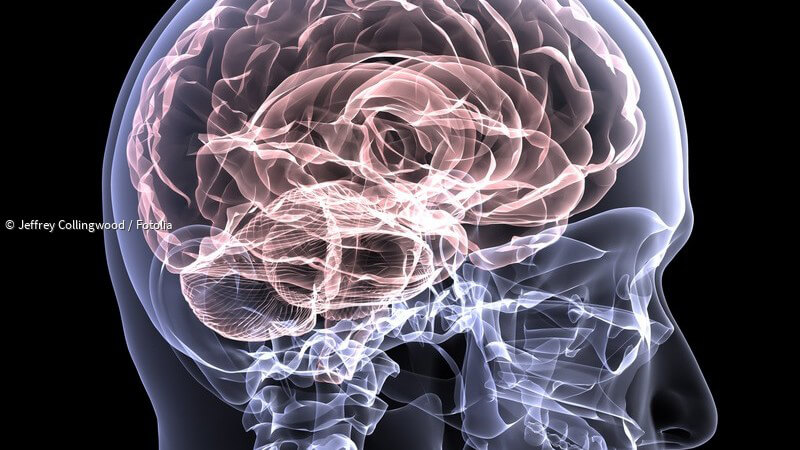 ᐅ Schädelhirntrauma - Ursachen, Symptome und Behandlung