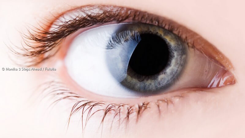 ᐅ Die Pupille - Ist für die Regulation des Lichteinfalls zuständig