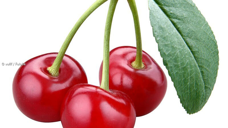 ᐅ Allgemeines über Kirschen - Arten, Gesundheitswert und ...