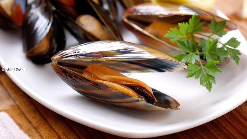 ᐅ Muscheln säubern und verarbeiten