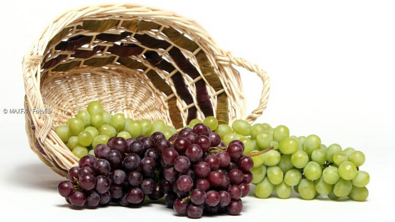 ᐅ Allgemeines über Weintrauben - Merkmale, Sorten, Gesundheitswert und ...